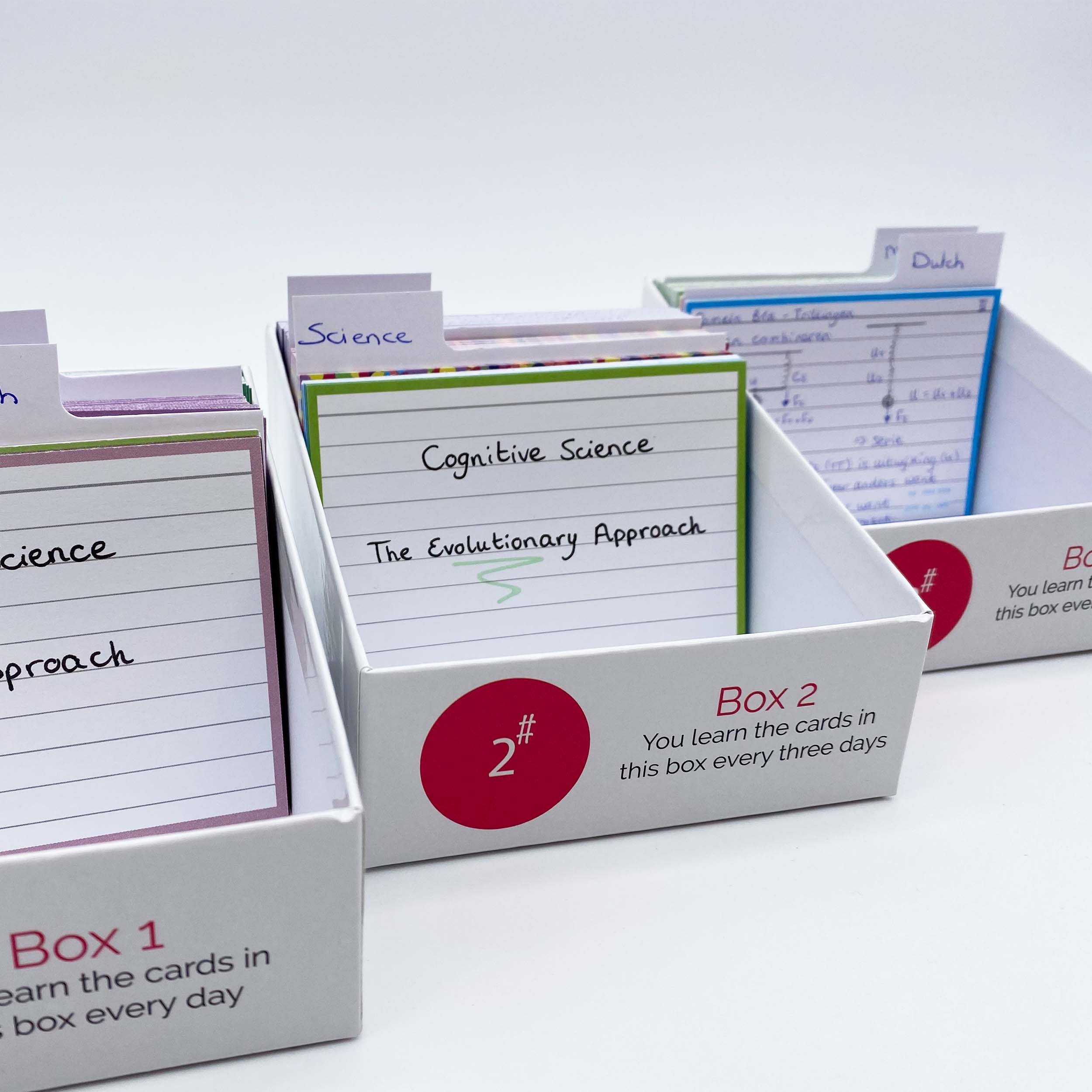 Flashcards Tabs A7 Format - 12er Set - Confetti Campus