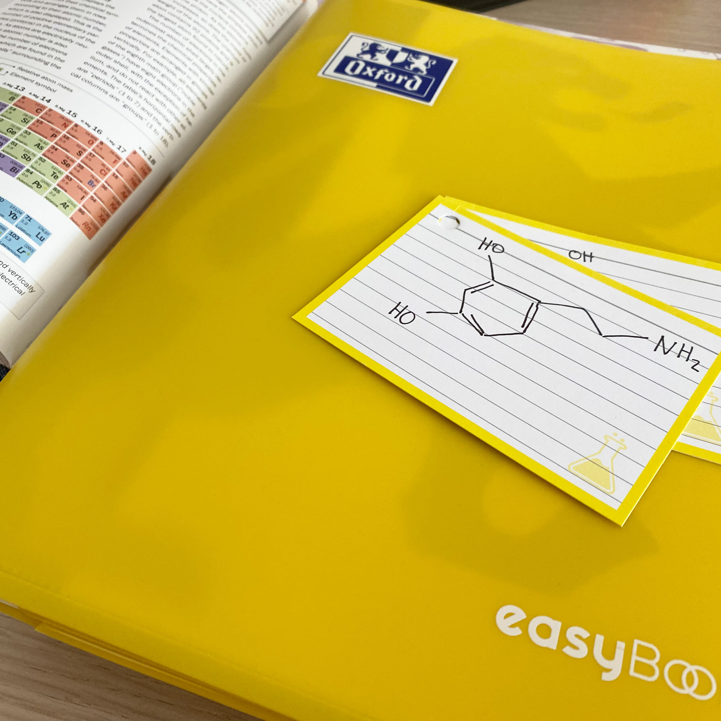 Organisiert nach Farbe: 5 dicke 3-in-1 Hefte mit integriertem Hefter