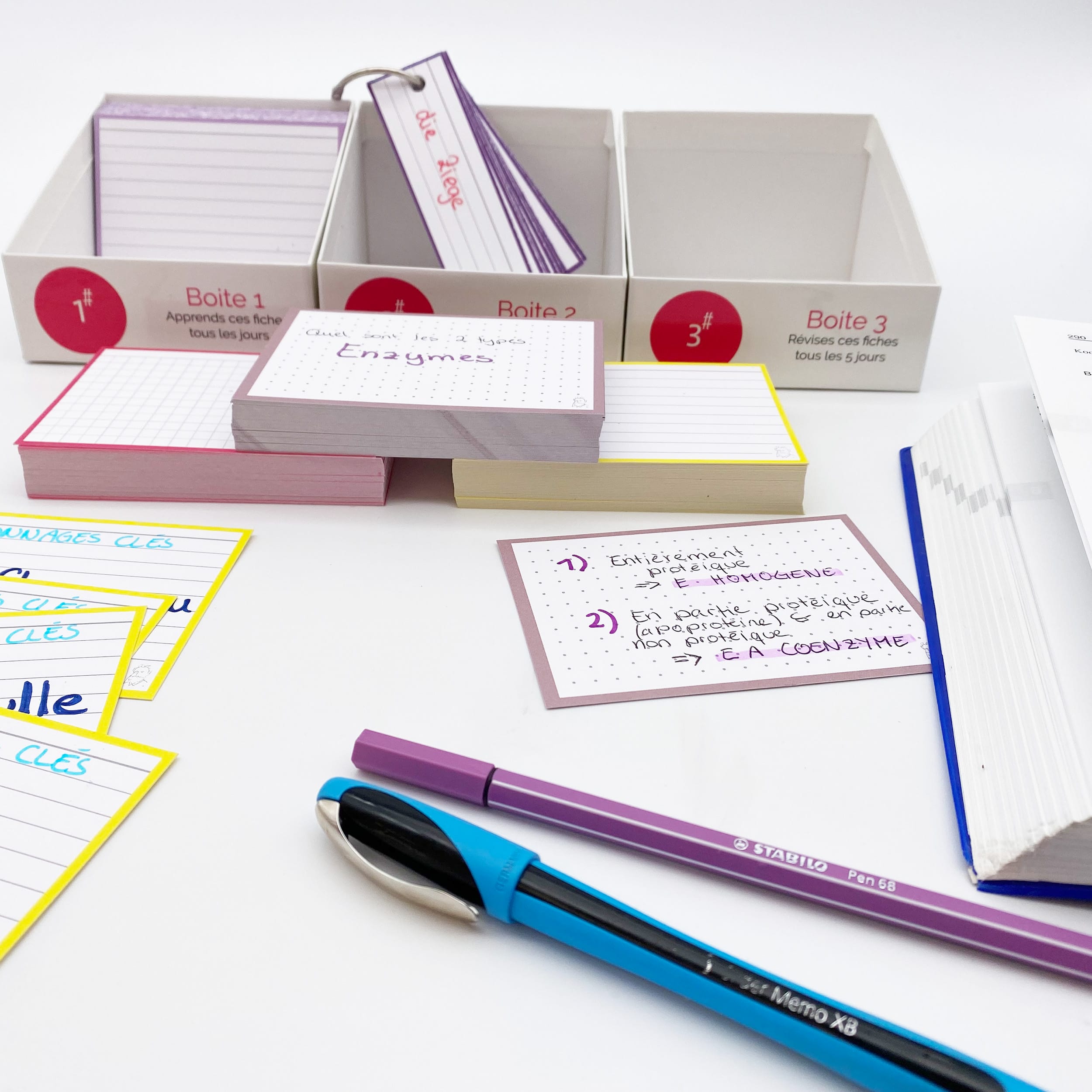 Leitner Flashcards® Leitner System Starterset - Confetti Campus