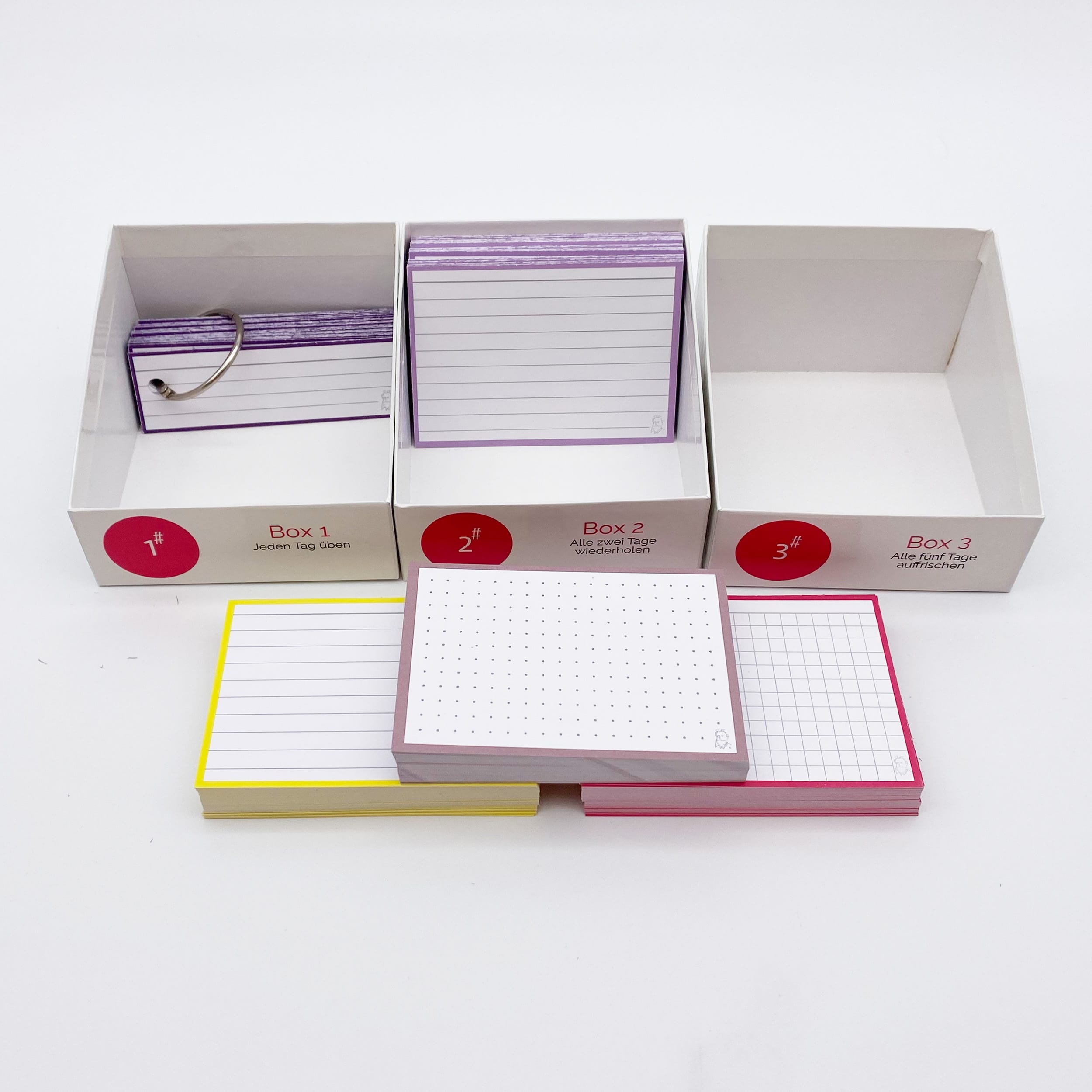 Leitner Flashcards® Leitner System Starterset - Confetti Campus