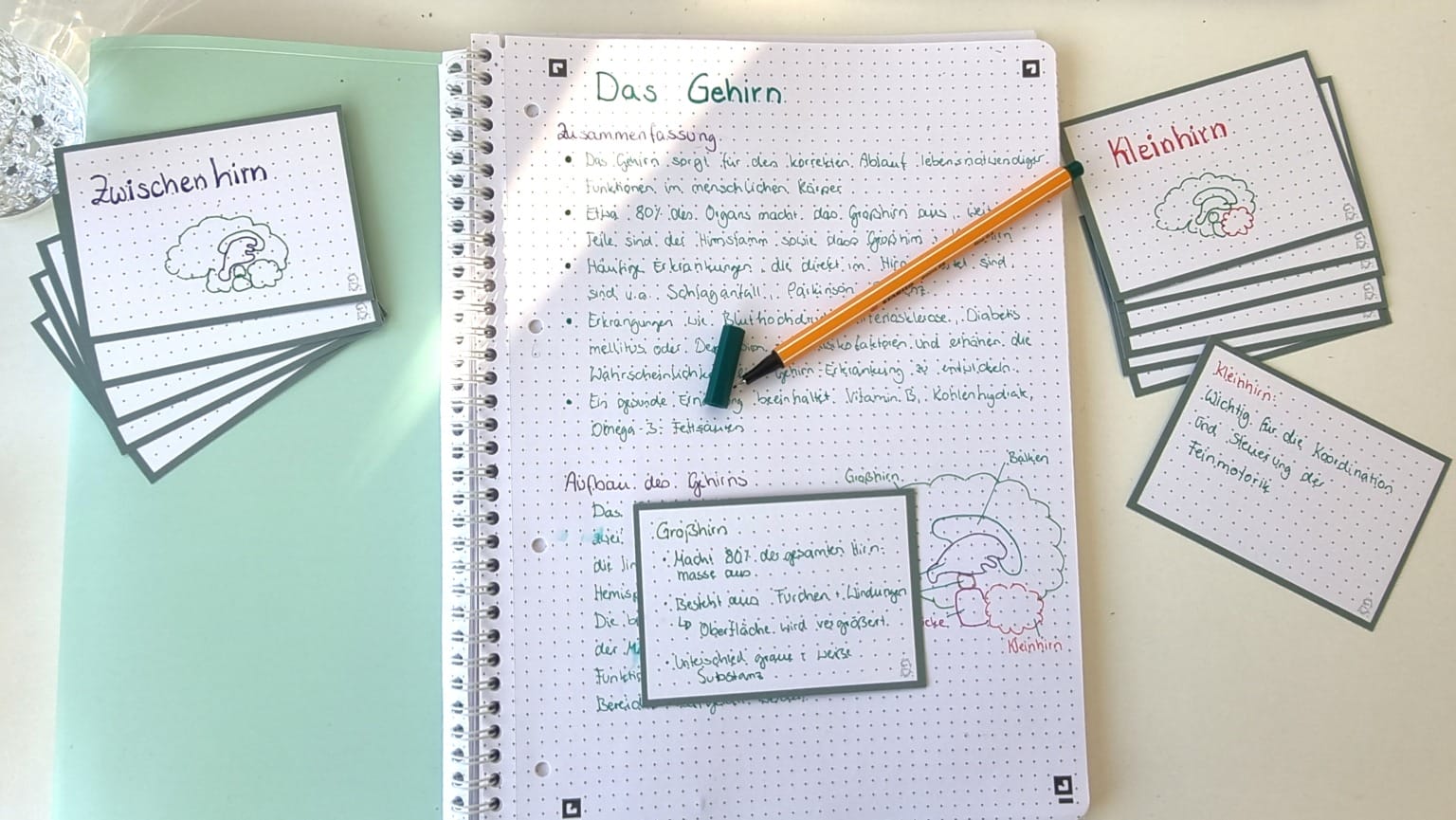 Lernzettel & Flashcards - Confetti Campus