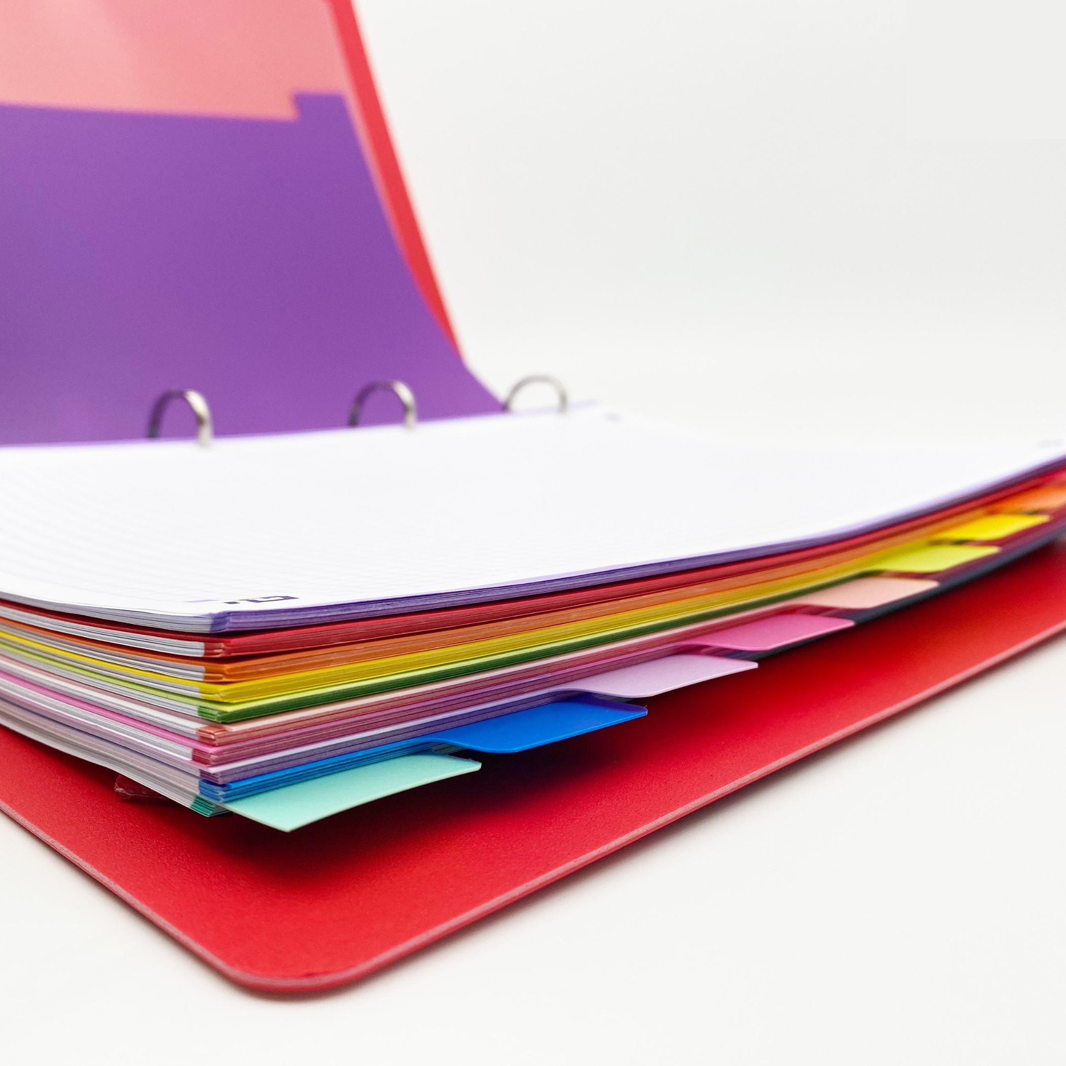 Gefüllter Ringordner mit Register & Einlagen | Confetti Campus