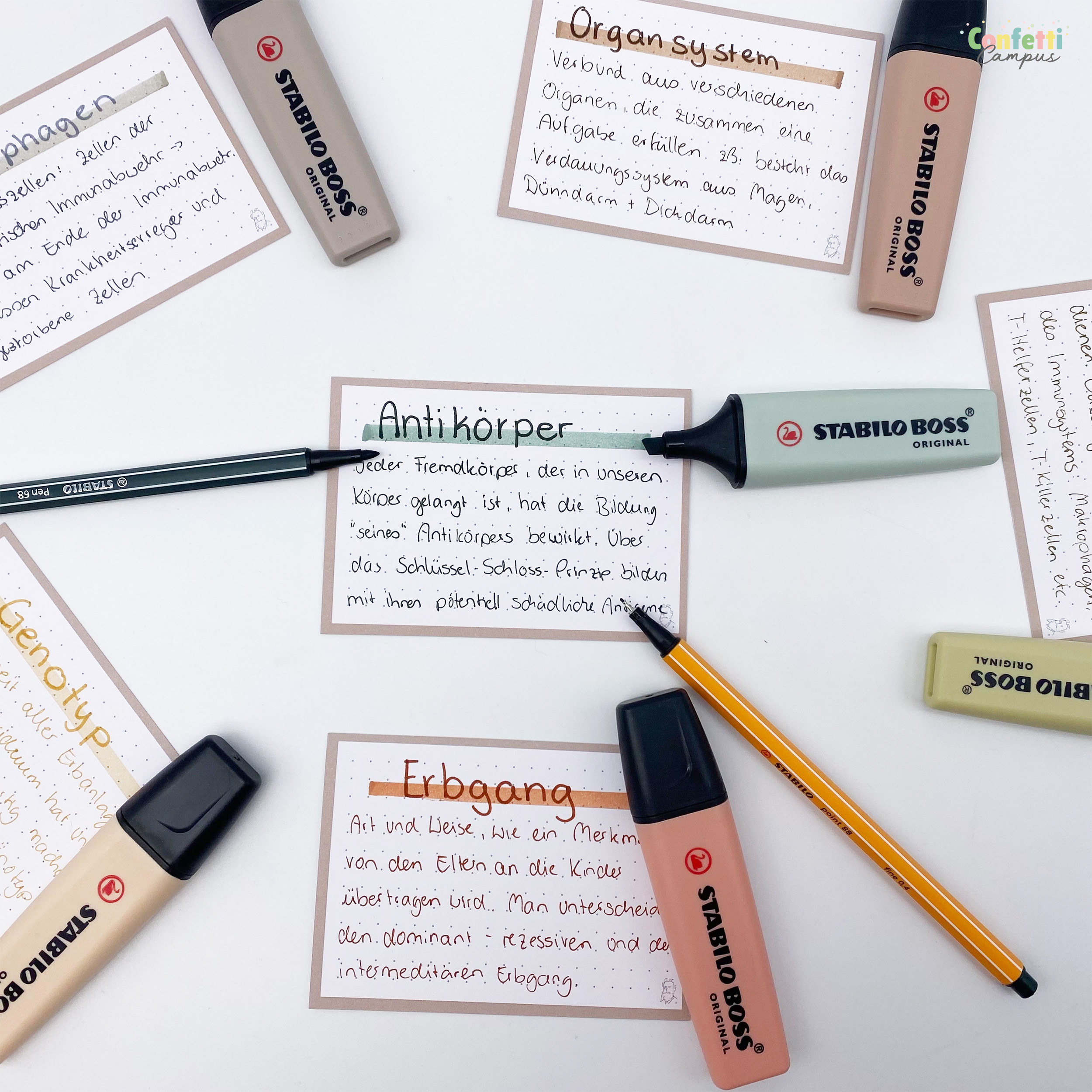 STABILO BOSS ORIGINAL Textmarker NatureCOLORS 8er Pack - Confetti Campus