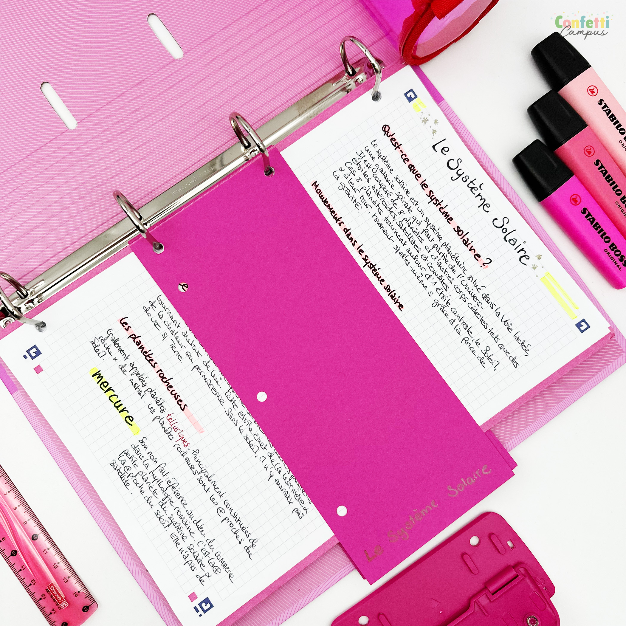 Oxford Trennstreifen für Ordner 60 Stück Pink